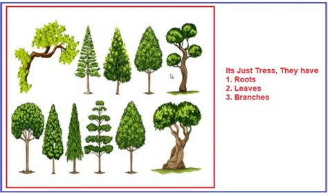 Abstract Data Type ADT In Detail Dot Net Tutorials