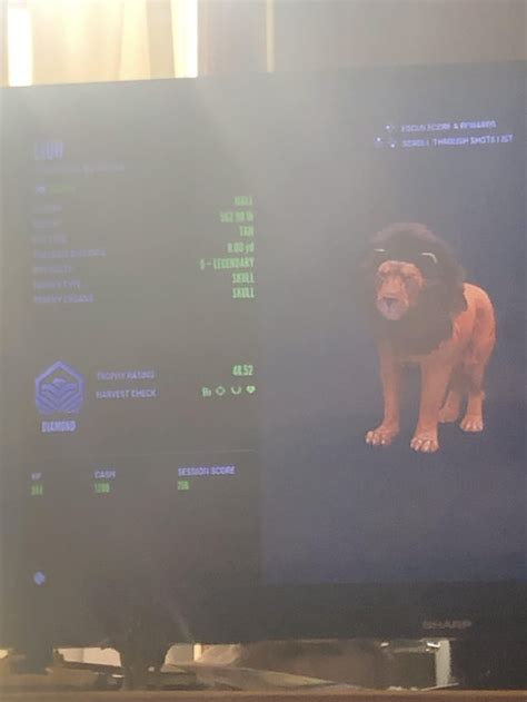 Cotw Trophies Pt3 Rcotw