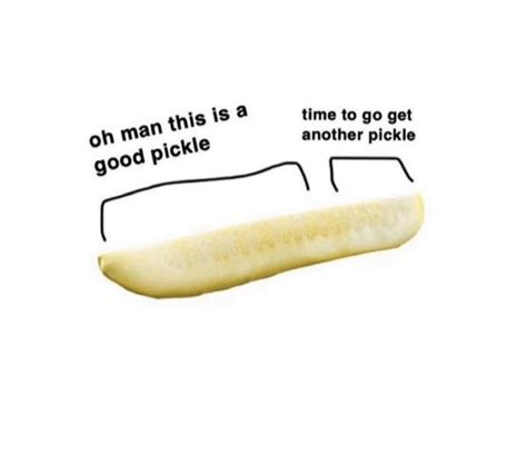 35 Funny Pickle Memes To Get You In A Briny Good Mood This National