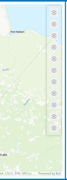 exb developer edition duplicate widget icons disap esri community