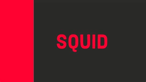Squid Log Youtube