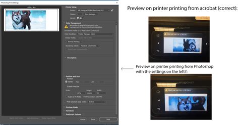 Solved Photoshop Is Scaling My Prints Up Without My Permi Adobe Support Community