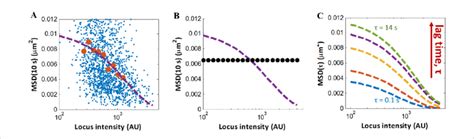 Correction Of Marker Msd Size Dependence Correction Factor Vectors For Download Scientific