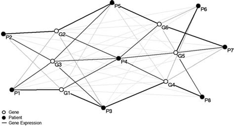 4 A Sample Bipartite Network Where Edges Exist Only Between Two