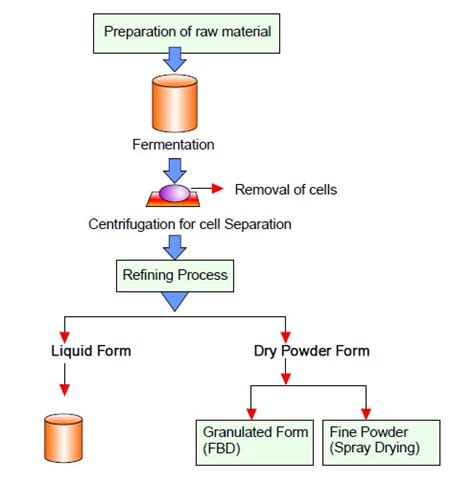 Detergent Plant Spray Drying In Pune India Raj Process Equipments