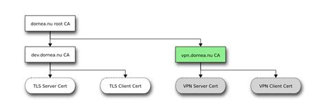 Manage PKI Using OpenSSL Blog Dornea Nu