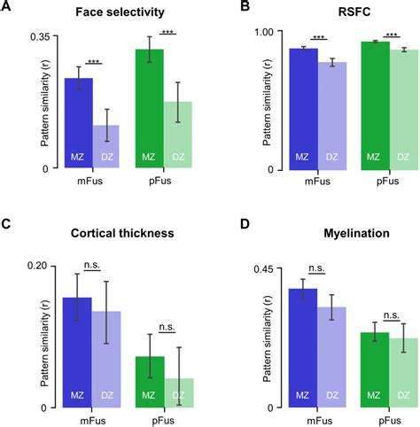 Fusiform Face Area Diagram