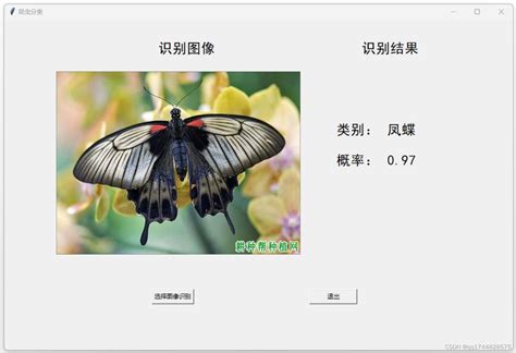 深度学习之基于pytorch的昆虫分类识别系统 基于深度学习昆虫分类识别 csdn博客