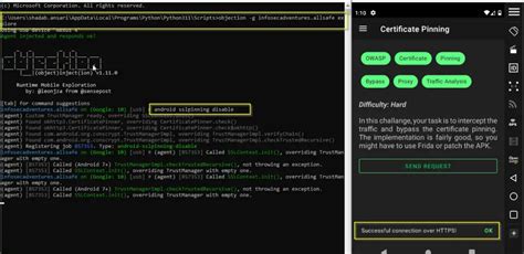 Ssl Pinning Bypass With Frida And Effective Mitigation Techniques
