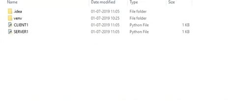 Python Socket Flush | Delft Stack