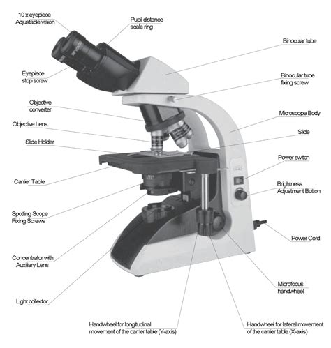 Microscope Definition Function Structure Classification And Different