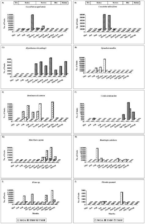 Unimodal Extended A D Bimodal Extended E H And Multimodal I J Download Scientific