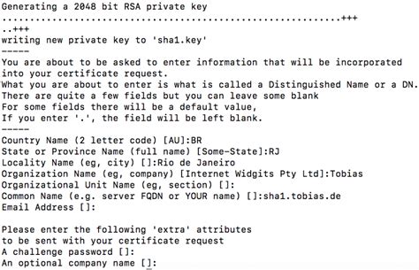 Openssl Ca To Sign Csr With Sha256 Sign Csr Issued With Sha 1 Its