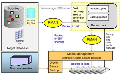 033 Sql Loader Trong Oracle Database Hướng Dẫn Chi Tiết Cách Sử Dụng Learn Ops Việt