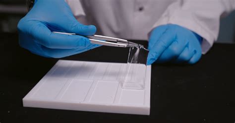 Инновационный пластырь запечатывает раны и предупреждает о ...