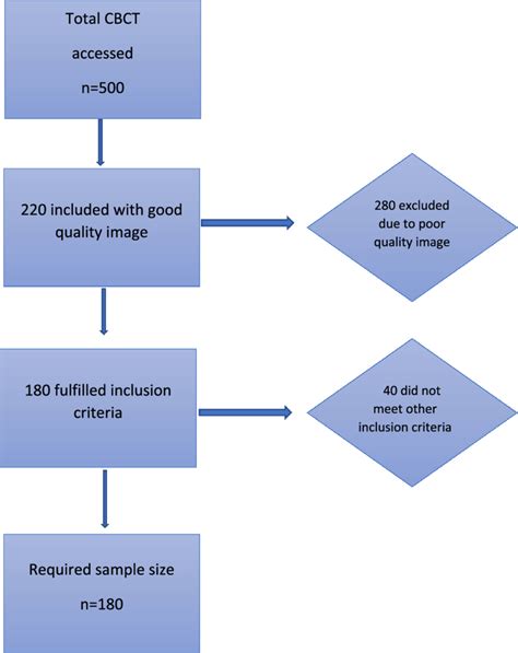 Participant Selection Cbct Cone Beam Computed Tomography Download Scientific Diagram