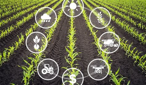 Ng D Ng Iot Trong N Ng Nghi P Th Ng Minh Hunonic Cao B Ng