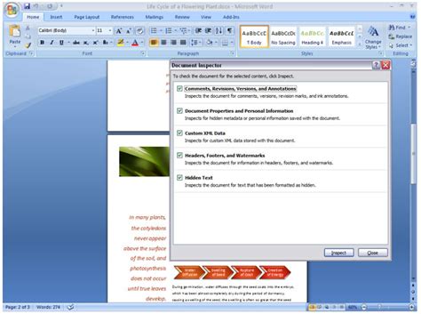 Buy Older Version Of Microsoft Office Adventuresgor