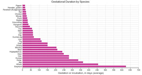 Gestation Chart For Cattle
