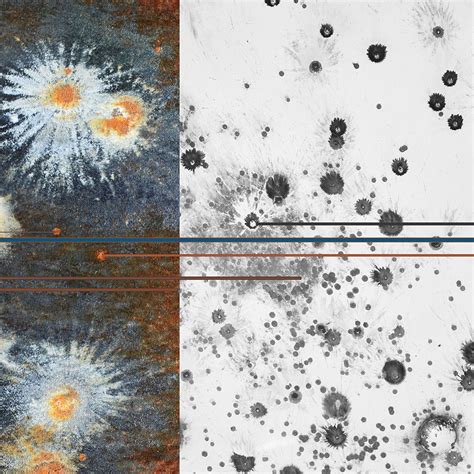 On View Now Lisa Stefanelli Shot” An Exclusive Artsy Online Exhibition Mark Moore