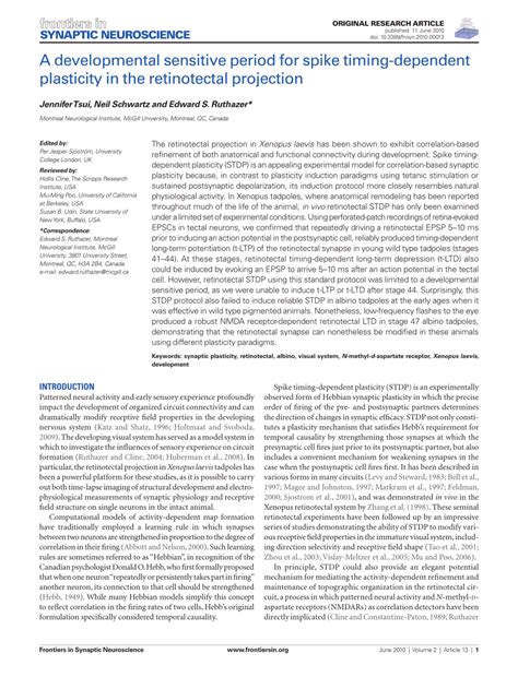 Pdf A Developmental Sensitive Period For Spike Timing Dependent Plasticity In The Retinotectal