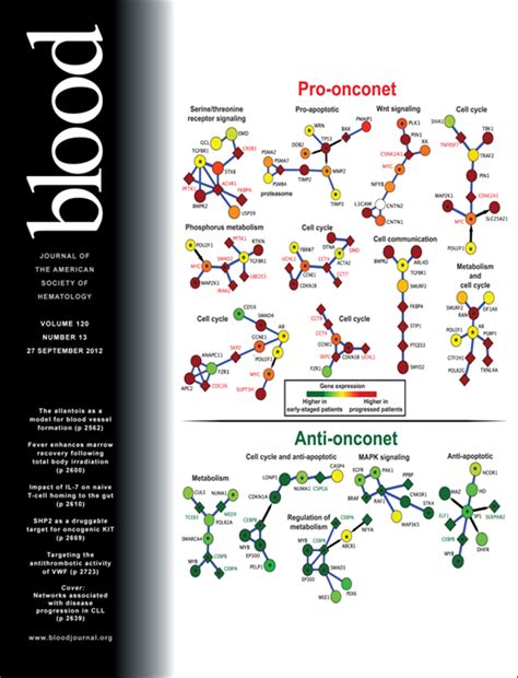 dysmegakaryopoiesis of fpd aml pedigrees with constitutional runx1