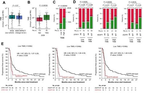 Combining Genomic Biomarkers To Guide Immunotherapy In Nonsmall Cell