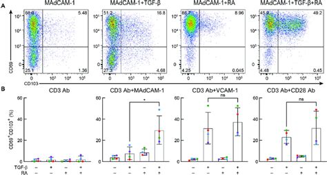Effect Of Ra And Tgf β On Cd69 Cd103 Expression A Download
