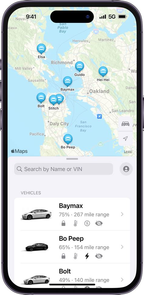 Tesla Fleet Management — Standard Fleet