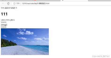 vue js基础指令详解 csdn博客