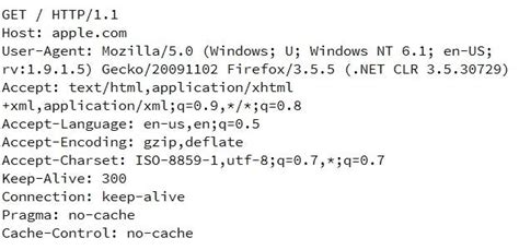 how do web servers know if you are using direct ip address access or not