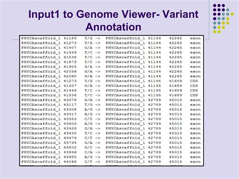 Genome Annotation 2013 Ppt Genetics Science