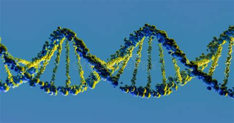 Blue Dna Helix Structure Biotechnology And Genetic Research Genetic Code Visualization Stock