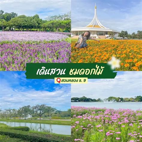 รวม 10 กิจกรรมฮีลใจคนโสด แกลเลอรีที่โพสต์โดย Sale Here Lemon8