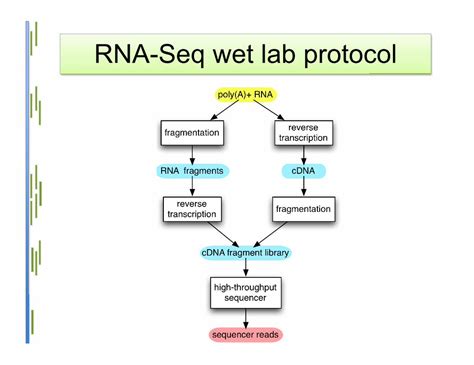 Pdf Transcriptome Analysis Methods For Rna Seq Datacamda2009