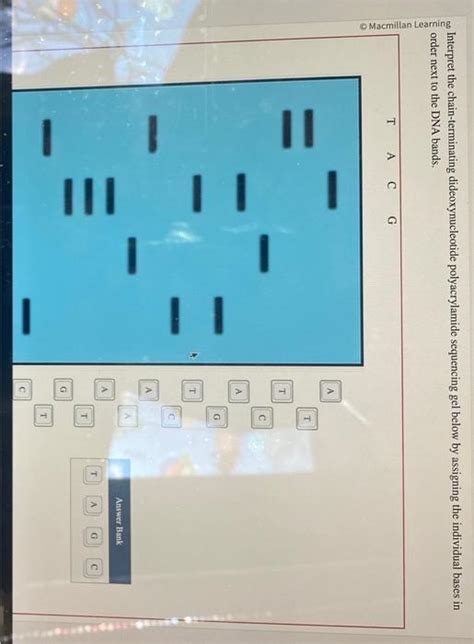On Interpret The Chain Terminating Dideoxynucleotide