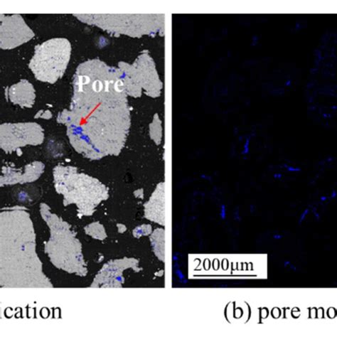 Pore Morphology Under Sem Download Scientific Diagram