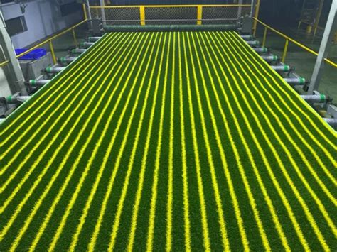 Coloured Artificial Grass At ₹ 42square Feet Artificial Grass In New