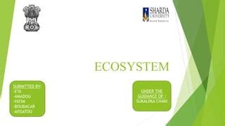 Ecosystem Presentation PPT