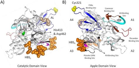 Factor Xia Creative Enzymes