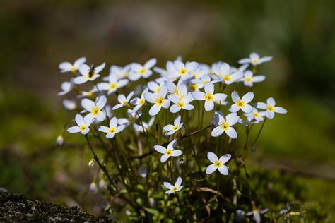 Blue Redundancy Photograph By Linda Bonaccorsi Fine Art America