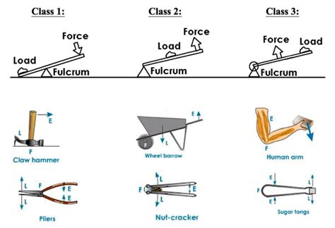 Types Of Levers Simple Machines Examples