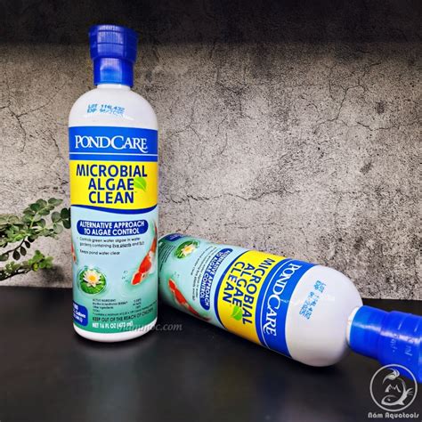 Api Microbial Algae Clean 473ml Vi Sinh Độc Đáo Phân Huỷ Mùn Bã Hữu Cơ Và Ăn Rêu Tảo Hại