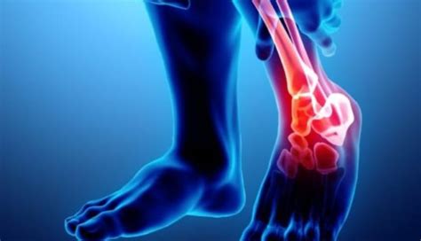 moath bdour photographer تصويري 🍁🍂🔥 photography photographer irbid