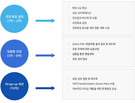 비즈니스 코칭 Cmoe Cmoe 코칭