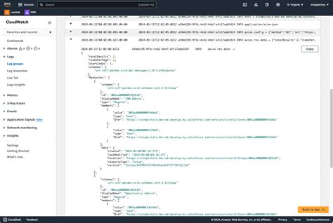 SaaS Connector Tutorial For The Salesforce SCIM API Community Blog SailPoint Developer Community