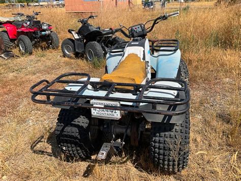 Yamaha Moto 4 350 Specs