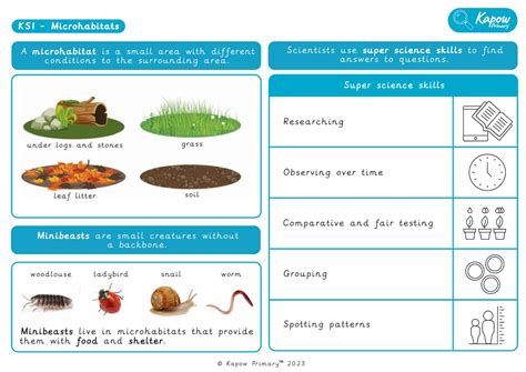 Knowledge Organiser Science Y2 Microhabitats