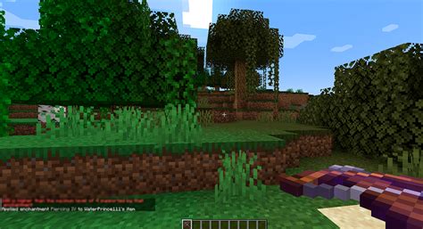 What Does Piercing Do In Minecraft Scalacube